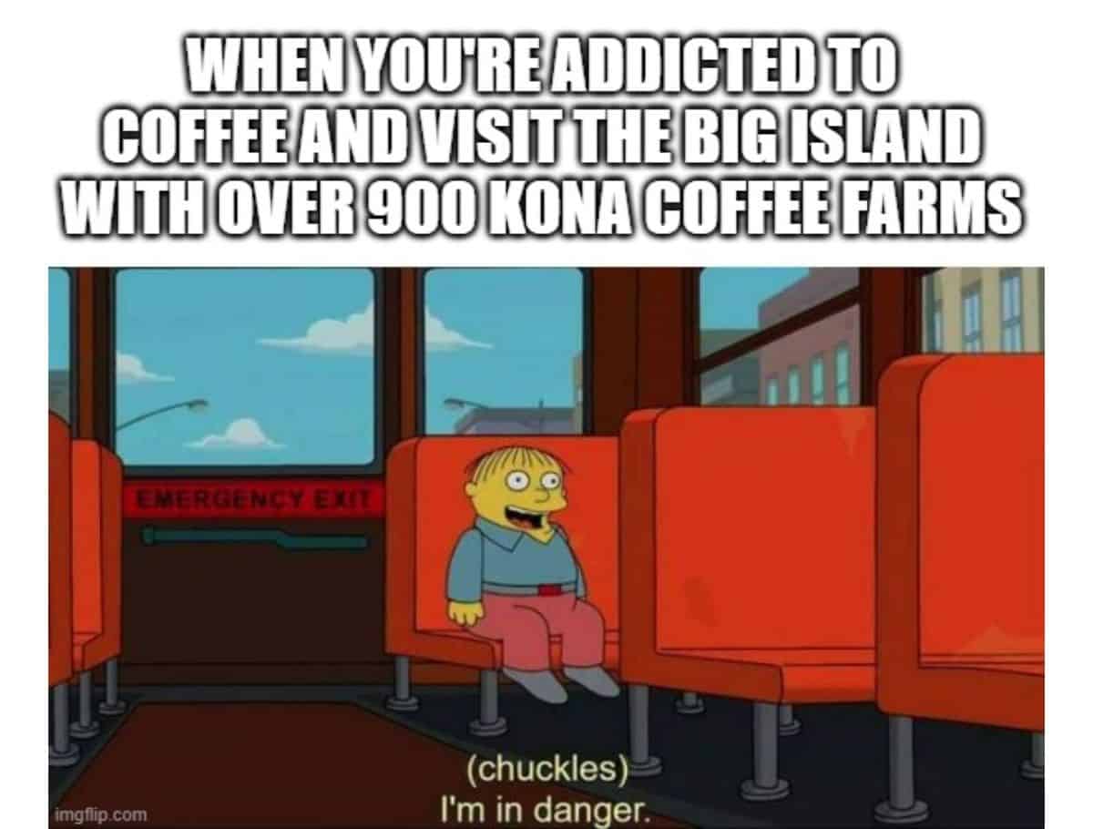 50 Funny Hawaii Memes to Make You Laugh, Brah!