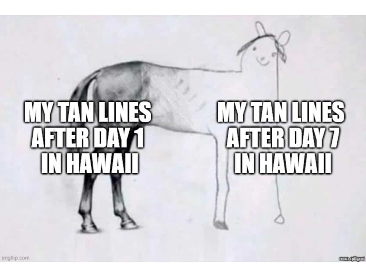 50 Funny Hawaii Memes to Make You Laugh, Brah!