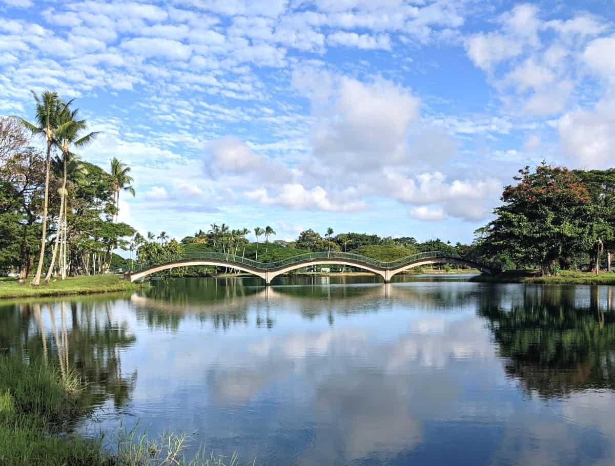Is Hilo Worth Visiting? 35 Reasons to Visit This Hawaii City