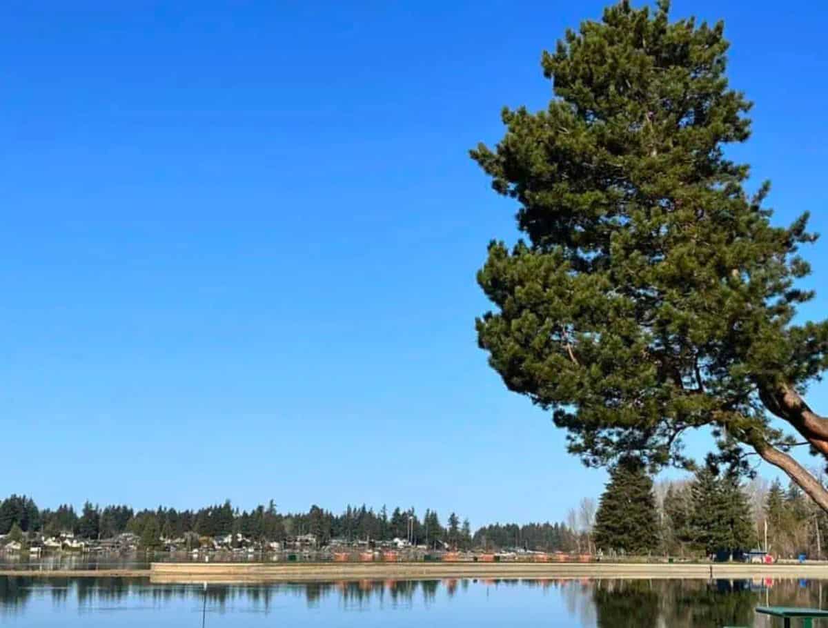 Awesome Seattle Day Trip to Lake Tapps Park: Things to Do